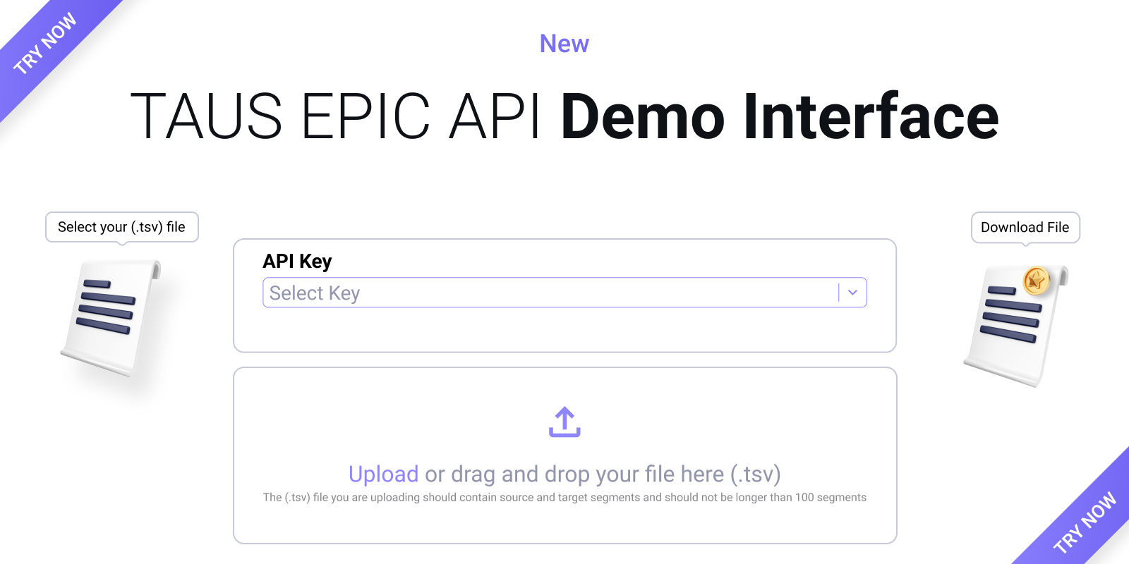 Announcing A New Demo Interface for the TAUS EPIC API